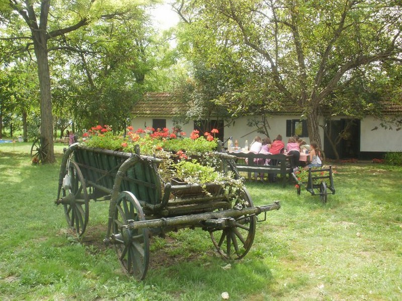 KOŠ SALAŠ - Sterijino - Vojvodina Travel