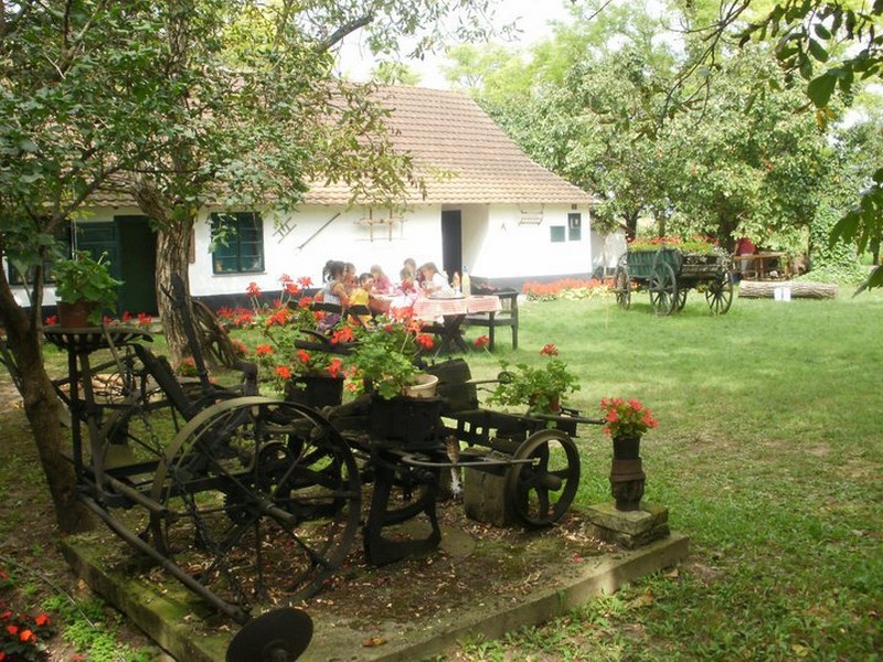 KOŠ SALAŠ - Sterijino - Vojvodina Travel