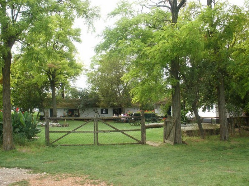 KOŠ SALAŠ - Sterijino - Vojvodina Travel