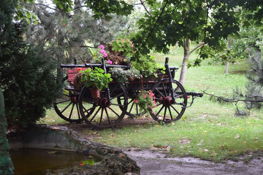 SALAŠ MALI PARK - Gladnoš - Vojvodina Travel